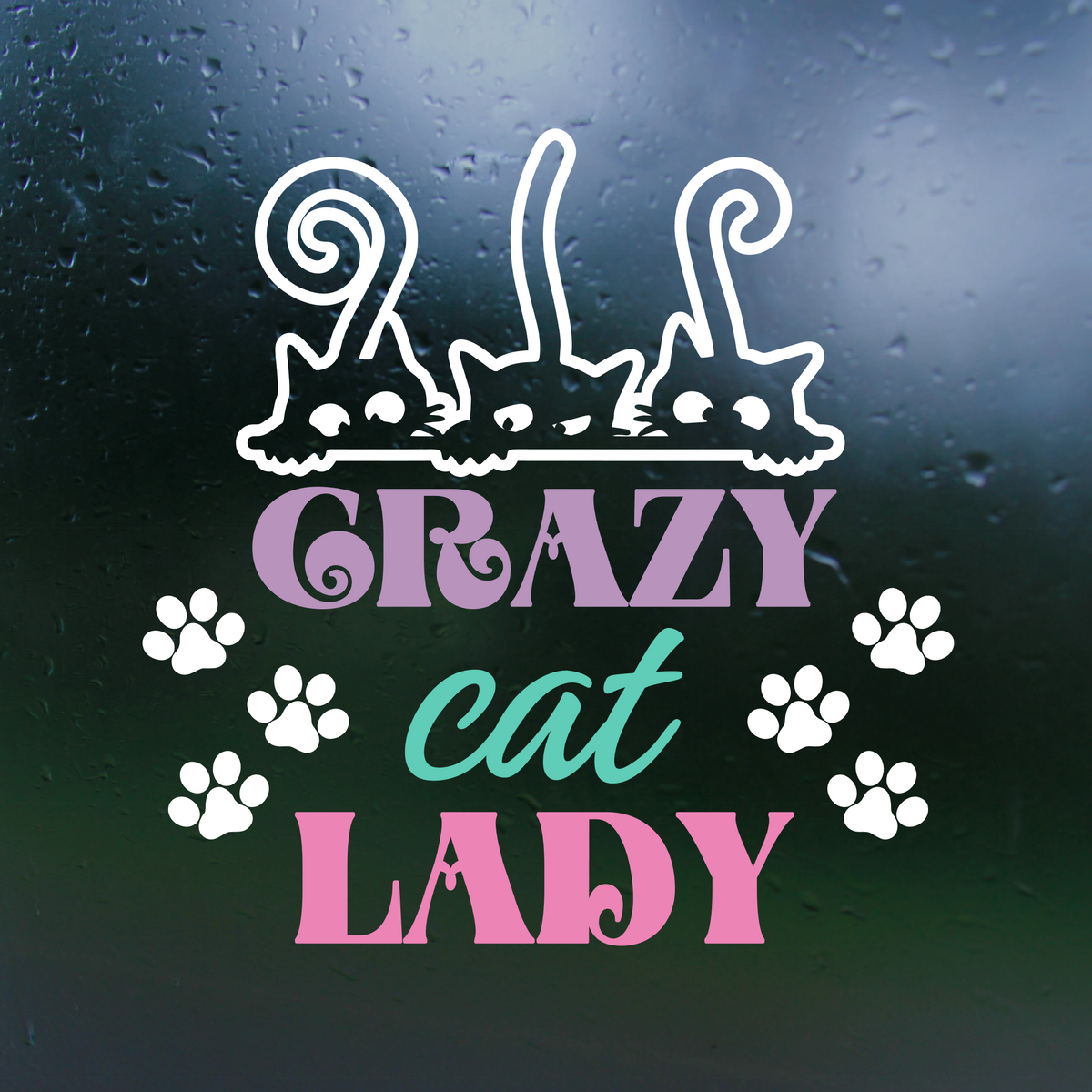 Die Cut Vinyl Crazy Cat Lady Decal - Vehicle / Window Decal – Get Decaled