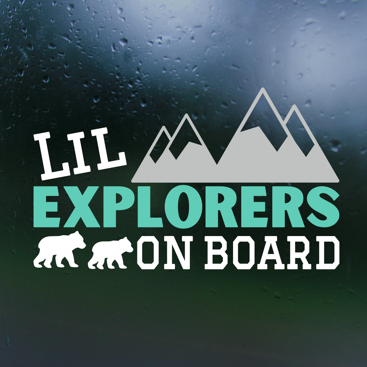 Die Cut Vinyl "Lil Explorers On Board" Decal – Get Decaled